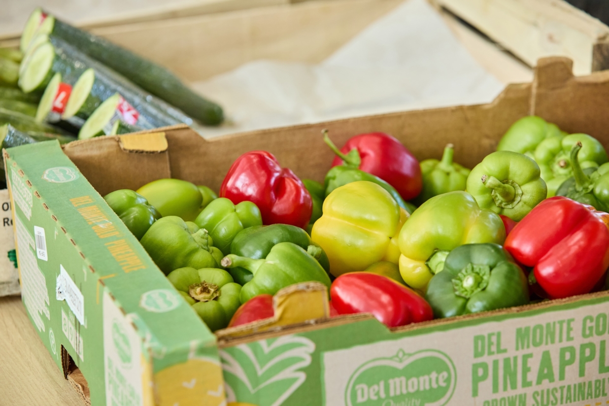 How the Child Poverty Strategy can tackle hunger and hardship | Trussell